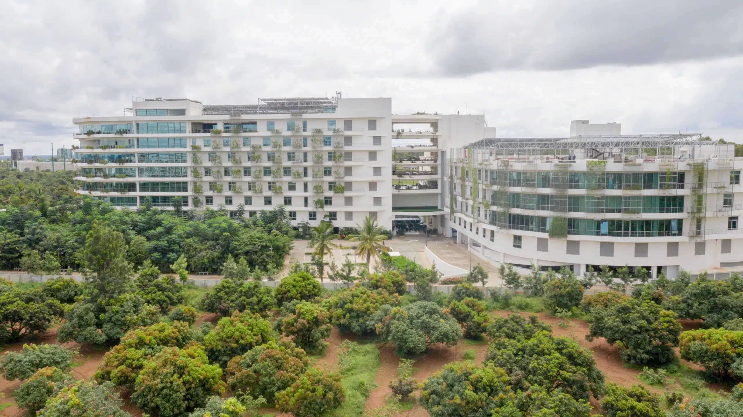 Life At SLK | SLK Software