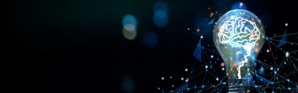 White Paper | SLK Software